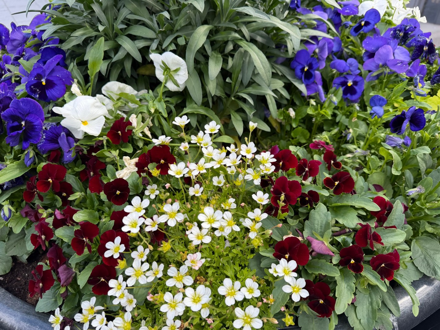 Daily Gratitude Challenge 2026 – Beautiful Flower Arrangements all over ...